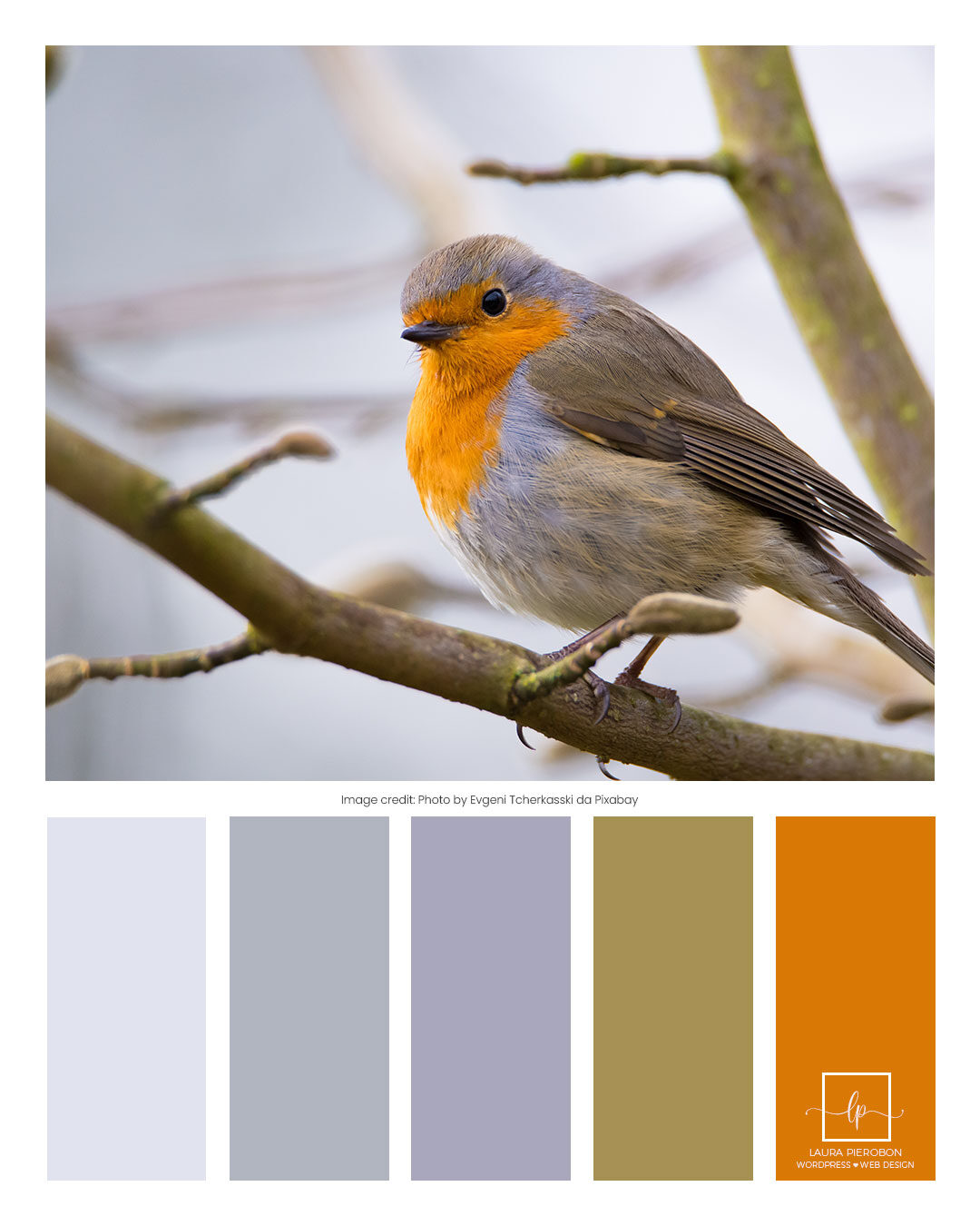 Palette colori di gennaio “Pettirosso” per siti WordPress- Laura ...